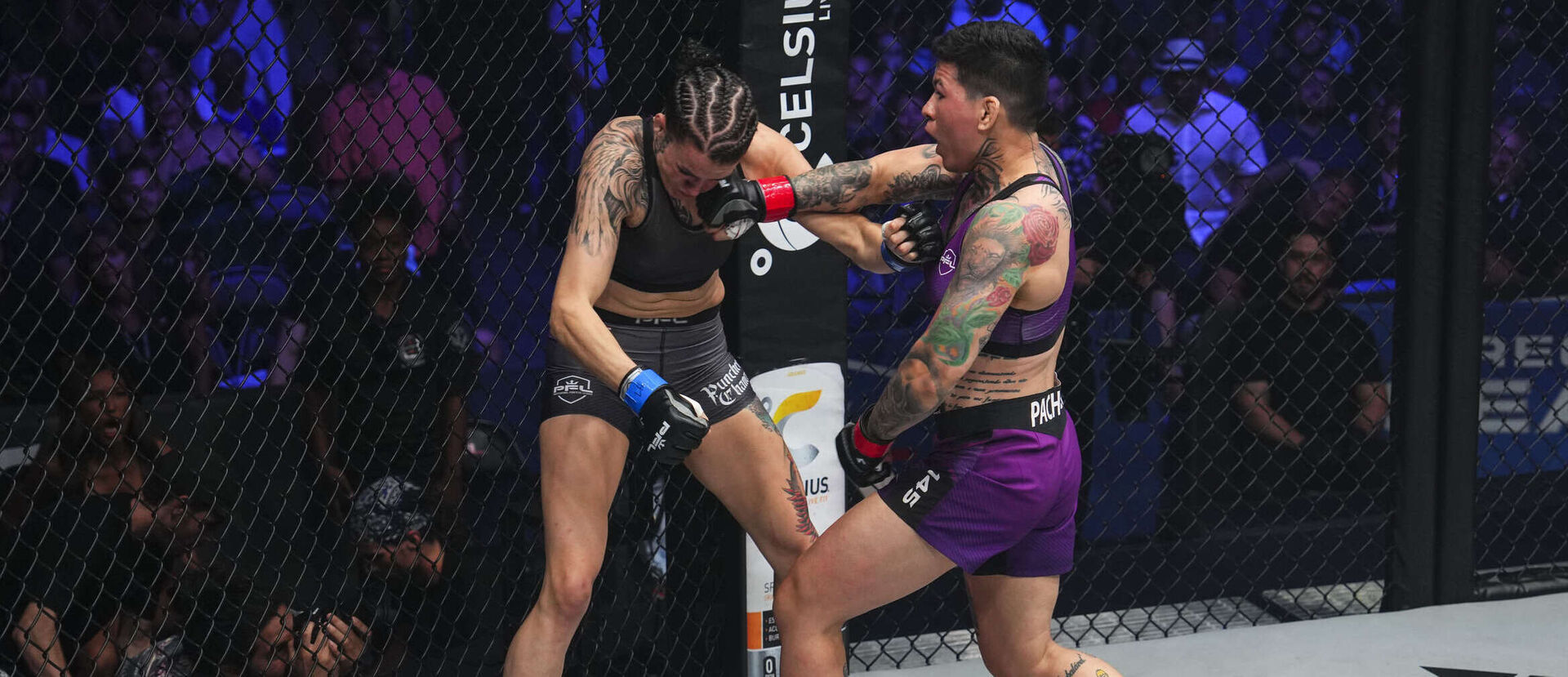 Larissa Pacheco | Women's Featherweight (145)