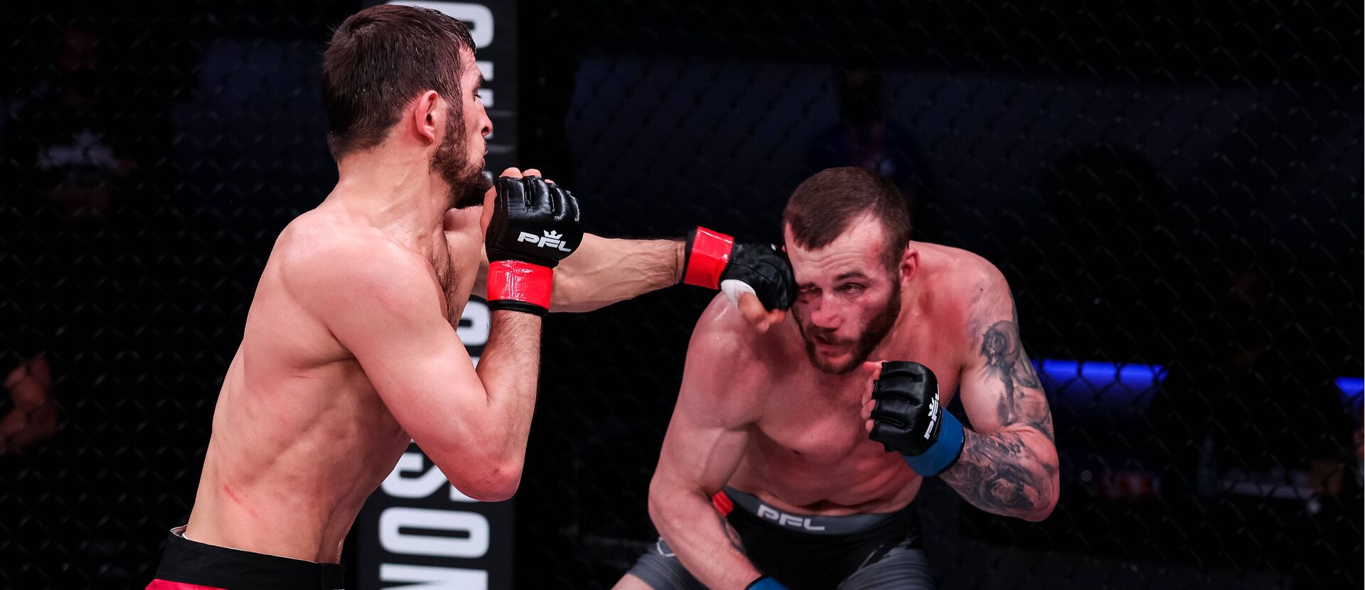 Akhmed Aliev | Lightweight (155)