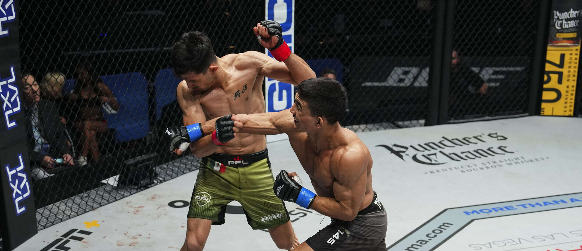 Daniel Torres | Featherweight (145)