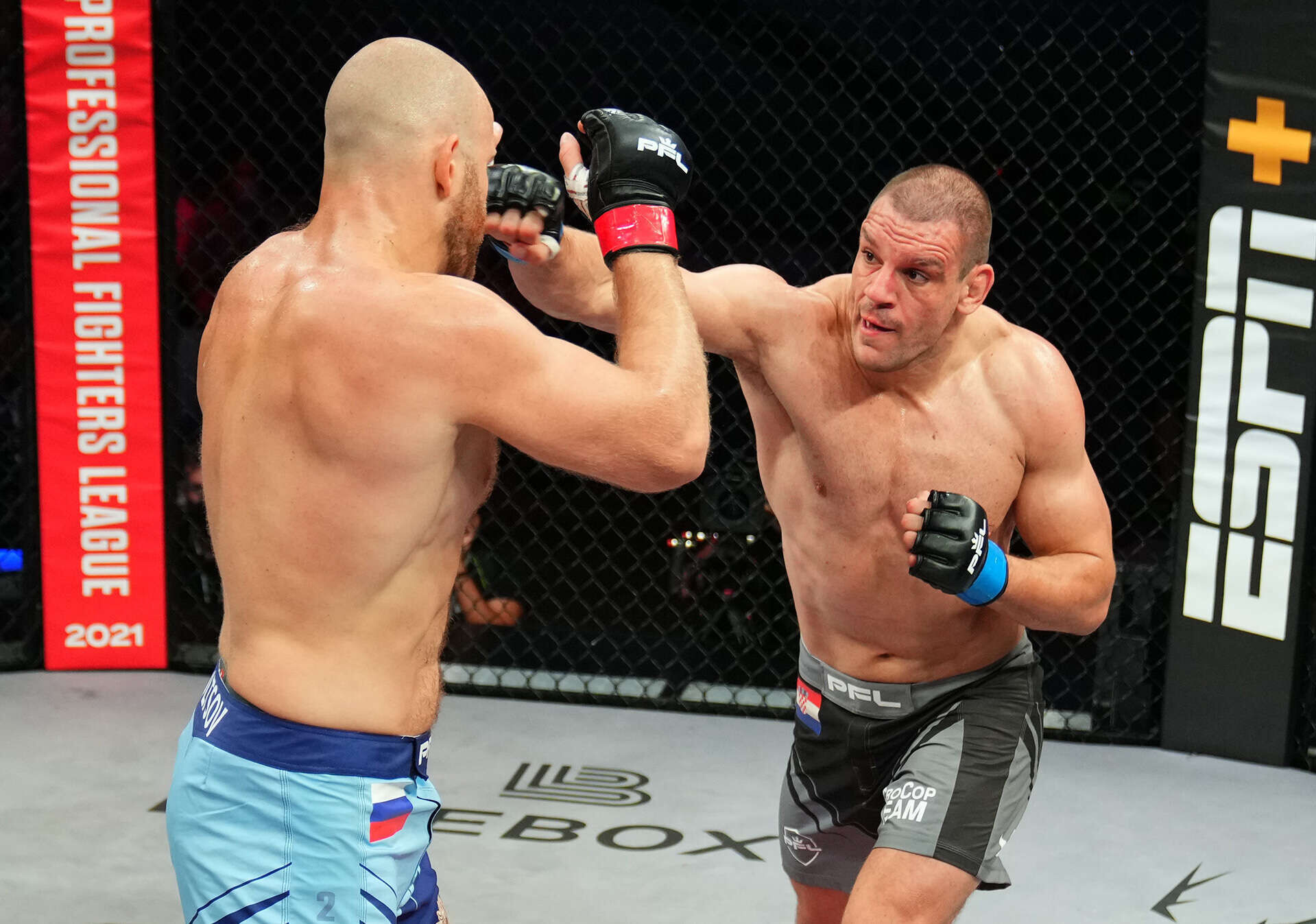 2021 PFL PLAYOFFS HW & WLW: DENIS GOLTSOV VS ANTE DELIJA | Professional ...