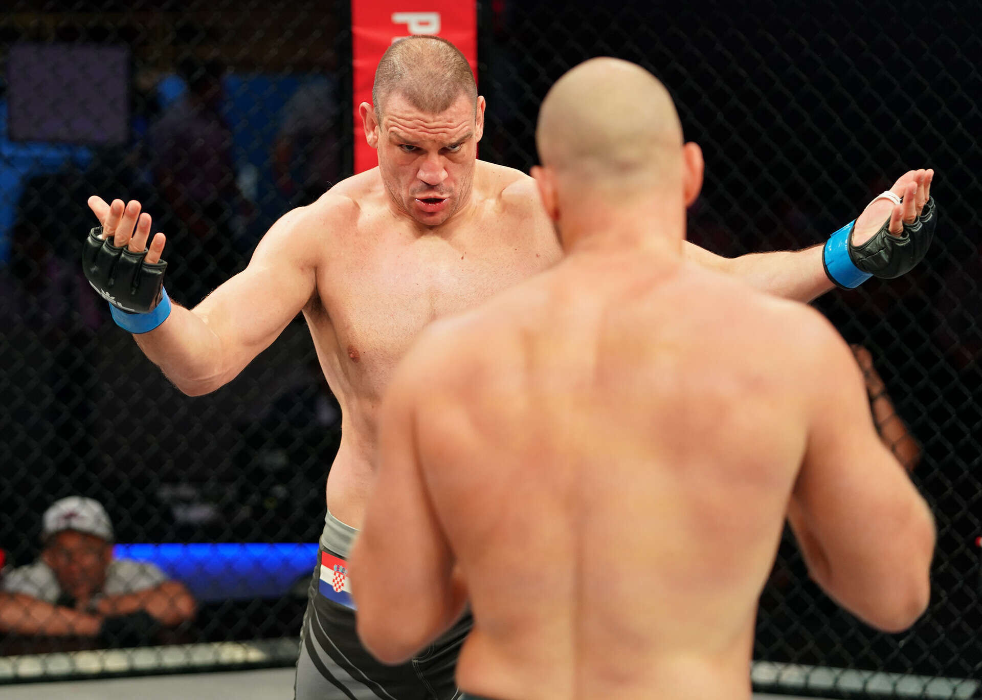 2021 PFL PLAYOFFS HW & WLW: DENIS GOLTSOV VS ANTE DELIJA | Professional ...